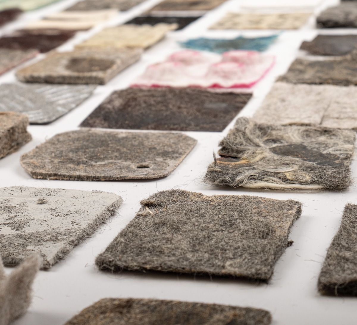 Elgen – Ledande sängmärken under samma tak